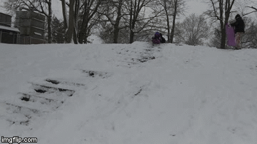 THE STEPS ARE MORE FUN THAN THE HILL - Imgflip