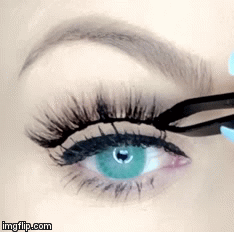 Lillashes.com Lil Lashes - Imgflip