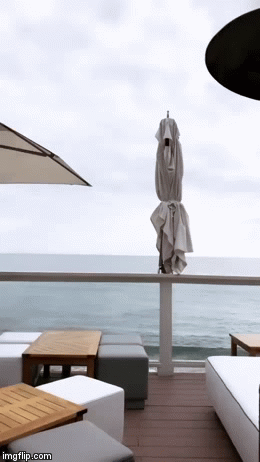 Animated GIF - Imgflip