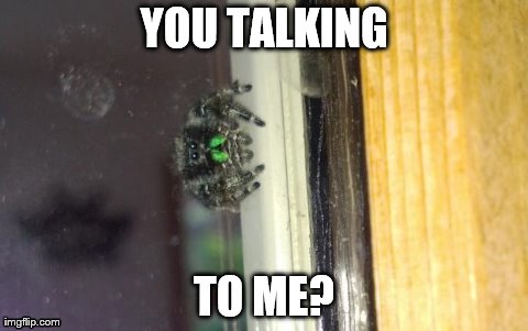 Image tagged in spiderbro - Imgflip