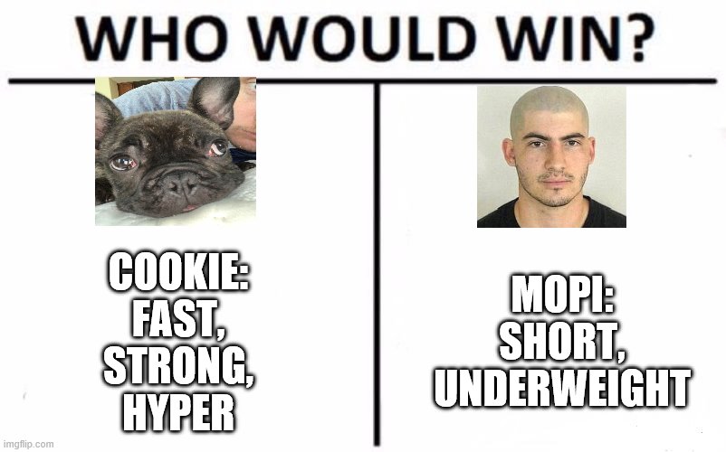 Who Would Win? Meme - Imgflip
