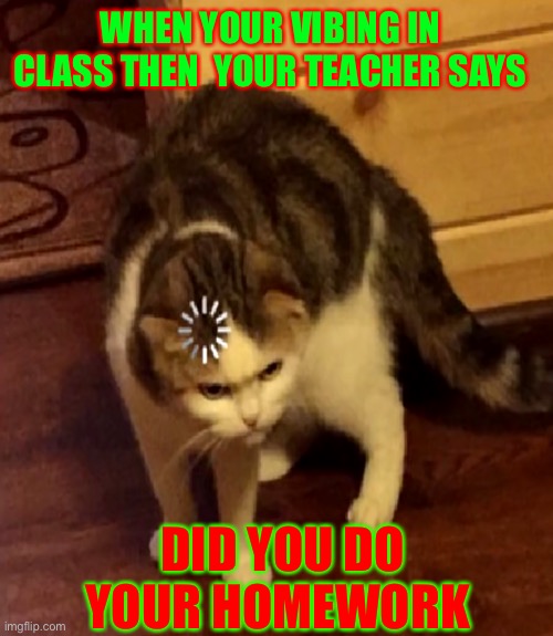 Homework cat - Imgflip