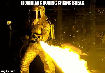 Meanwhile in Florida... - Imgflip