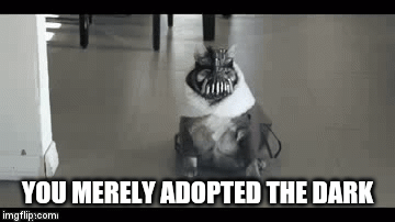 Animated GIF - Imgflip