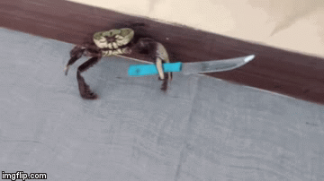 Killer Krab! - Imgflip