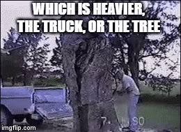 Which is heavier - Imgflip