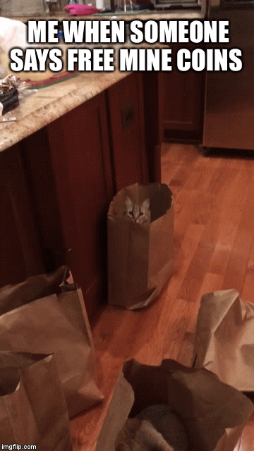 Mine coins for cats - Imgflip