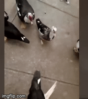 Take a Bite - Imgflip