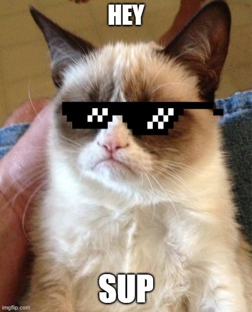 Grumpy Cat Meme - Imgflip