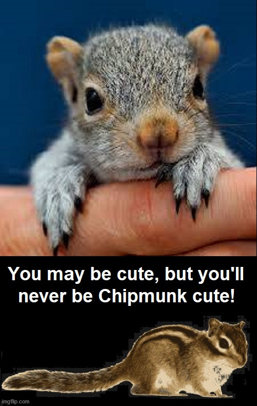 funny Memes & GIFs - Imgflip