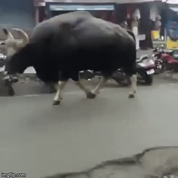 Don't Skip Leg Day! - Imgflip