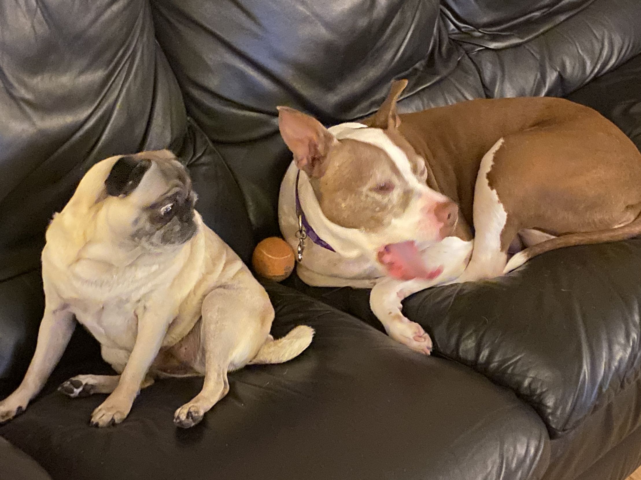 Rona is that you? Blank Template - Imgflip