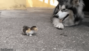 Outta my way - Imgflip