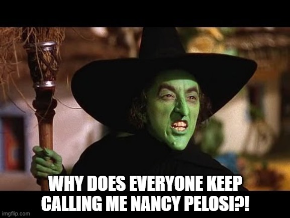 Wicked witch of the west - Imgflip