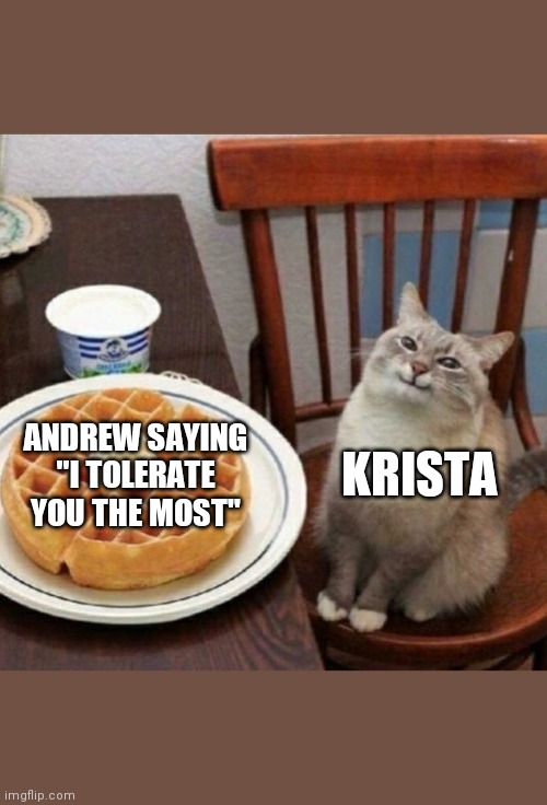 Cat likes their waffle - Imgflip