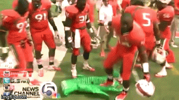 UM Gator Stomp - Imgflip