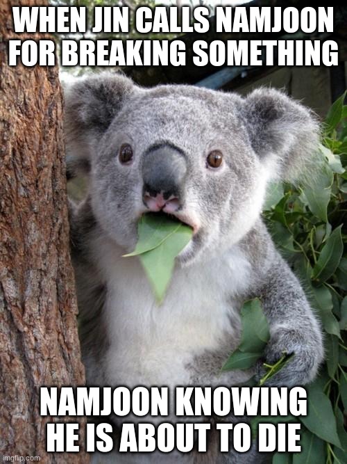 Surprised Koala Meme Imgflip Surprised Koala Meme Imgflip