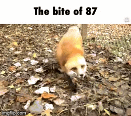 The bite of 87 - Imgflip