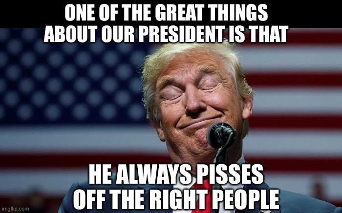 Love watching his daily pressers :) - Imgflip