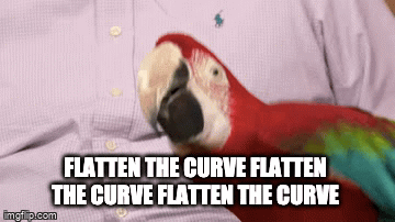 Flatten the curve - Imgflip