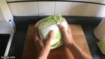 Let’s crush lettuce ? - Imgflip
