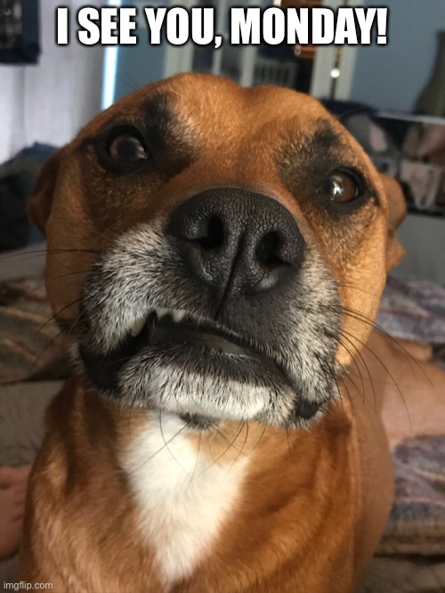 I see you, Monday! - Imgflip
