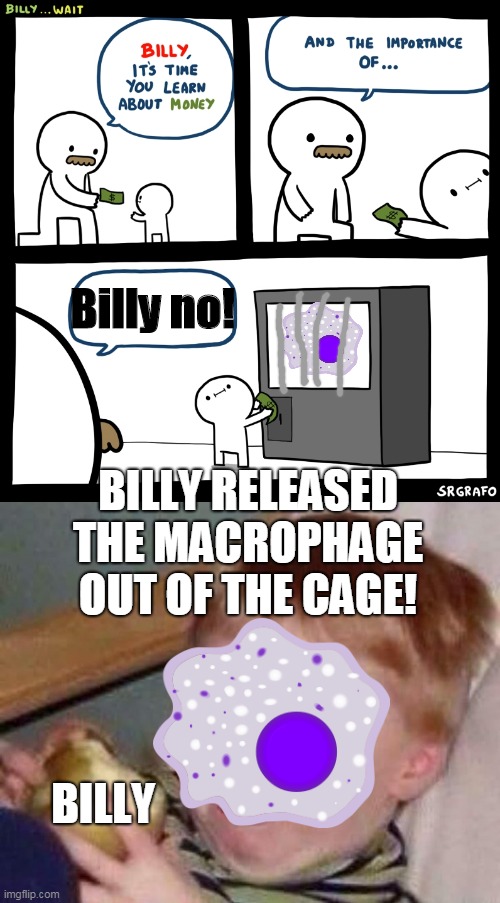 Macrophage eats Billy - Imgflip