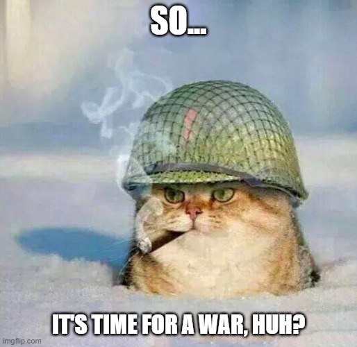 War Cat - Imgflip