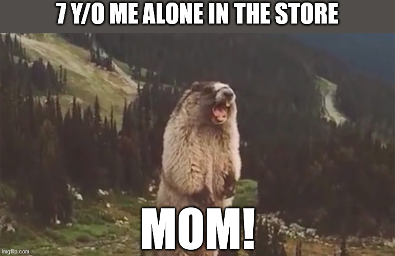Screaming Marmot Imgflip Screaming Marmot Imgflip