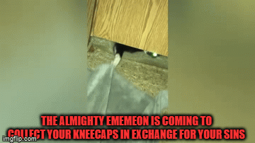 I don't know either but THE ALMIGHTY EMEMEON IS COMING TO COLLECT YOUR ...