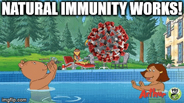 Natural Immunity Will Work! Lockdowns will not... - Imgflip