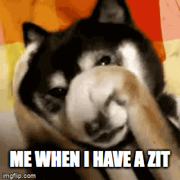 ME when I have a zit - Imgflip