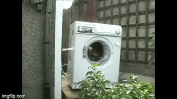 Washing Machine Jiggles pt. 2 - Imgflip