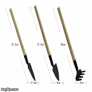 Animated GIF - Imgflip