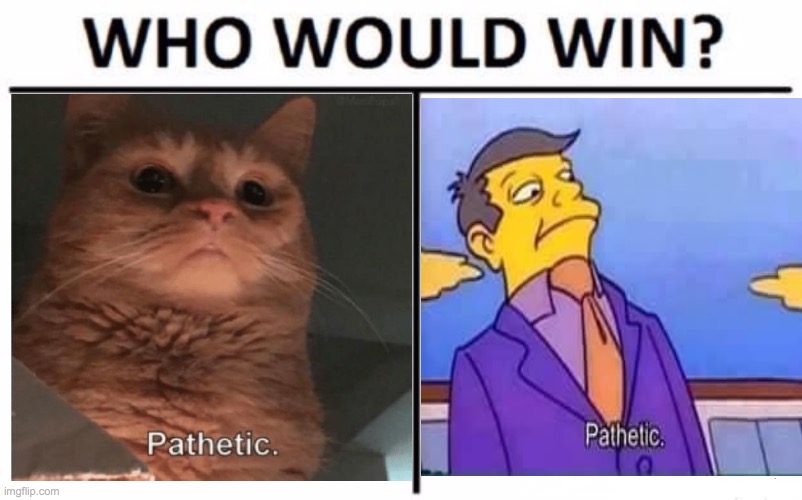 Pathetic Meme Template