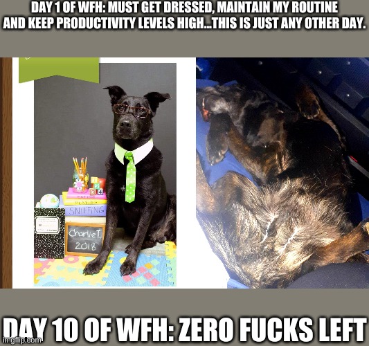 Quarantine living - Imgflip