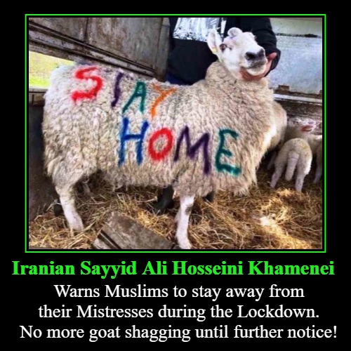 No more goat shagging until further notice! - Imgflip