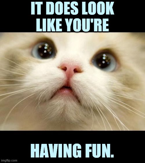 1forpeace's Profile - Imgflip