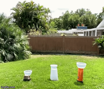 Animated GIF - Imgflip