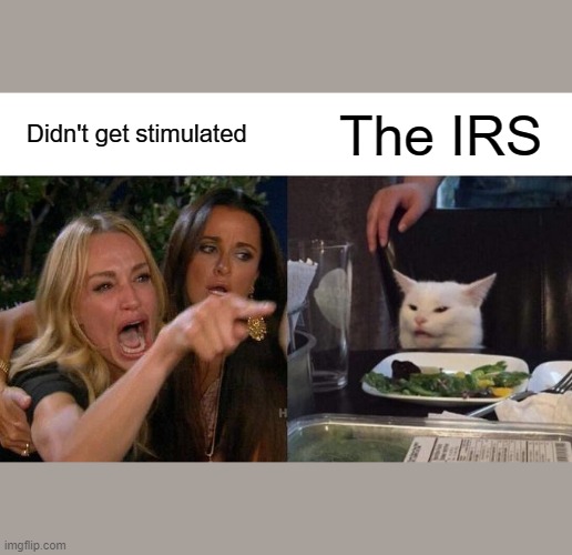 Woman Yelling At Cat Meme - Imgflip