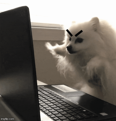 when the dog learns to play minecraft - Imgflip