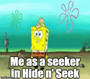 Hide N' Seek Pro - Imgflip