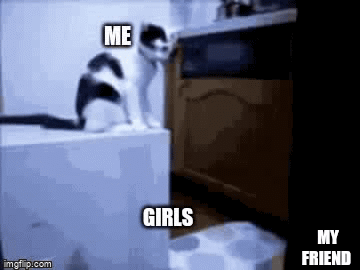 Idiot friends - Imgflip