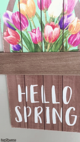 Hello Spring! - Imgflip