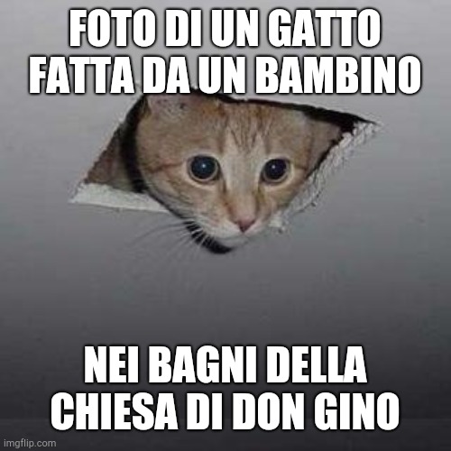 Memes Di Gatti Regala 300 Meme Divertenti Per Cani Gatti
