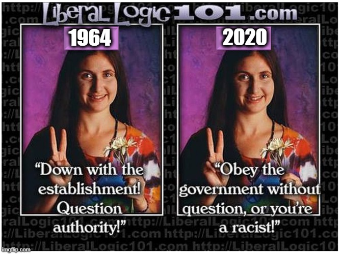 Liberal logic - Imgflip