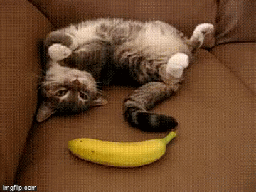 everyone when someone coughs... - Imgflip