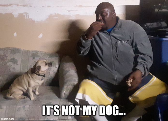 Image tagged in not my dog - Imgflip