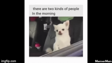 Which one are you? - Imgflip