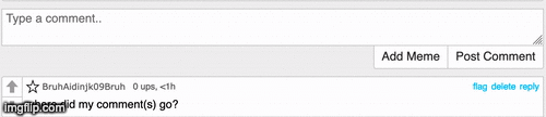 The comment disappeared? - Imgflip